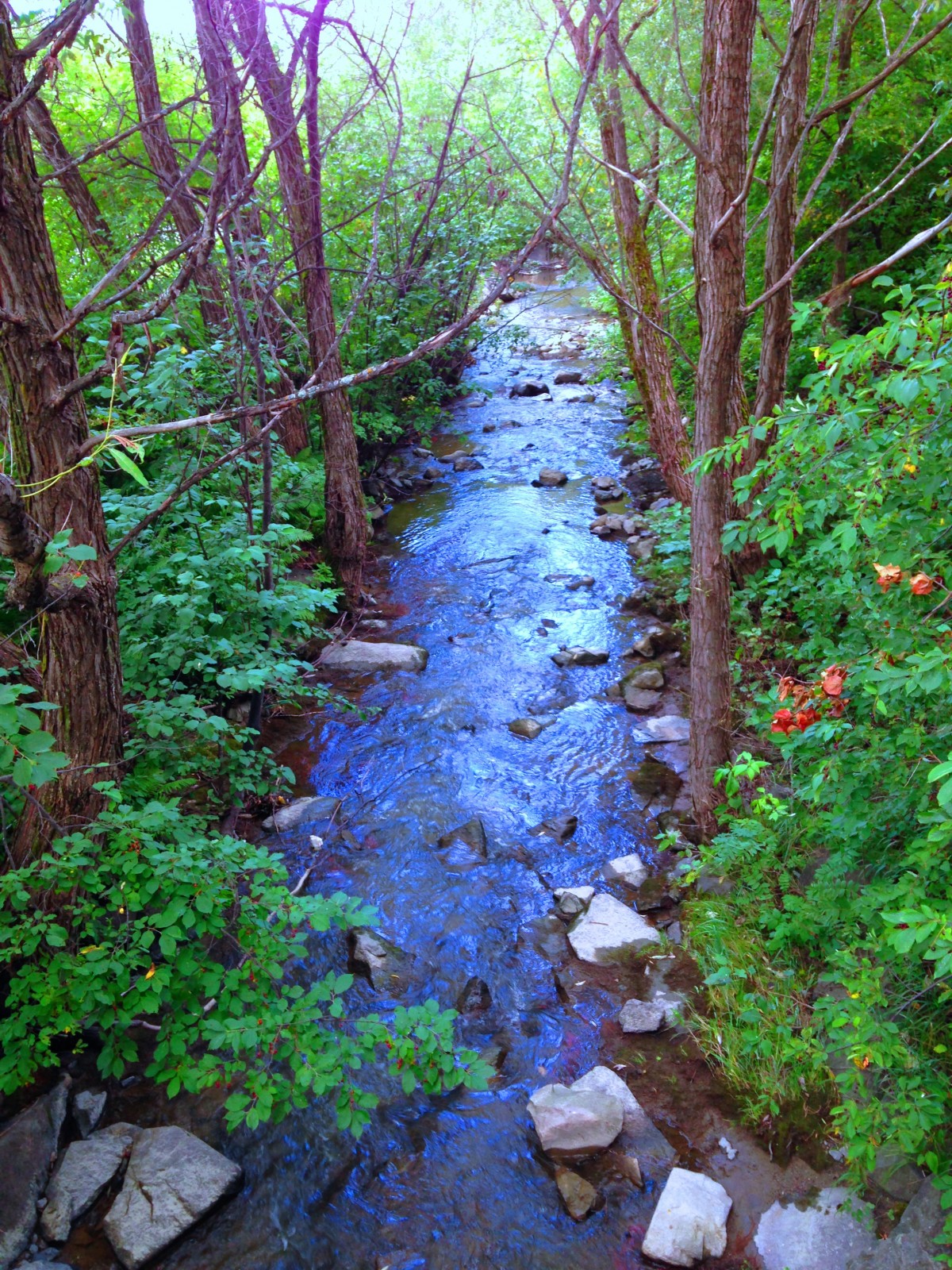 Ruisseau Rouge – Welcome to Léo's